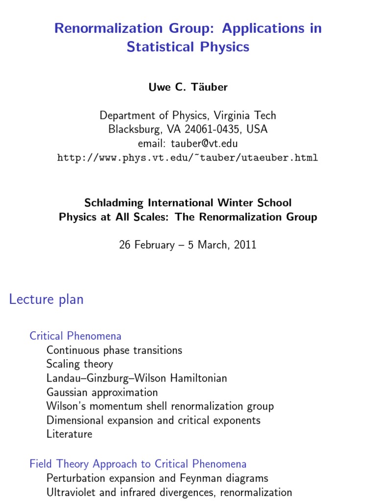 Renormalization Group: Applications in Statistical Physics | Download Free PDF | Phase ...