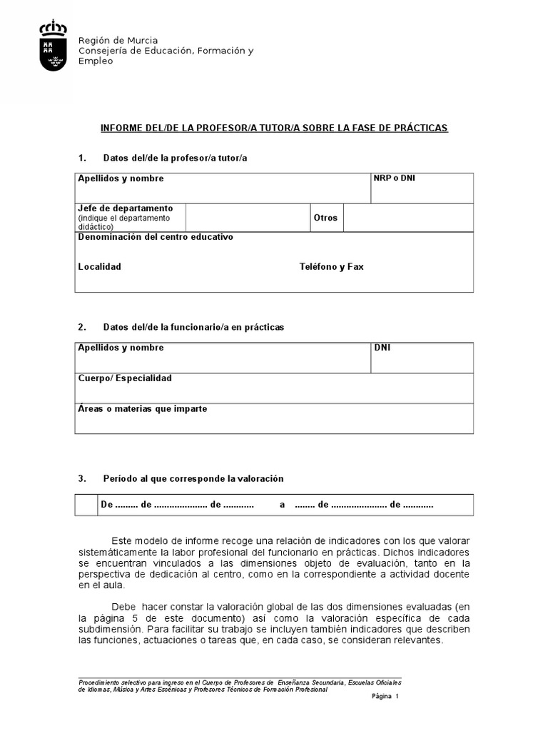 Informe Del Profesor Tutor | Maestros | Evaluación