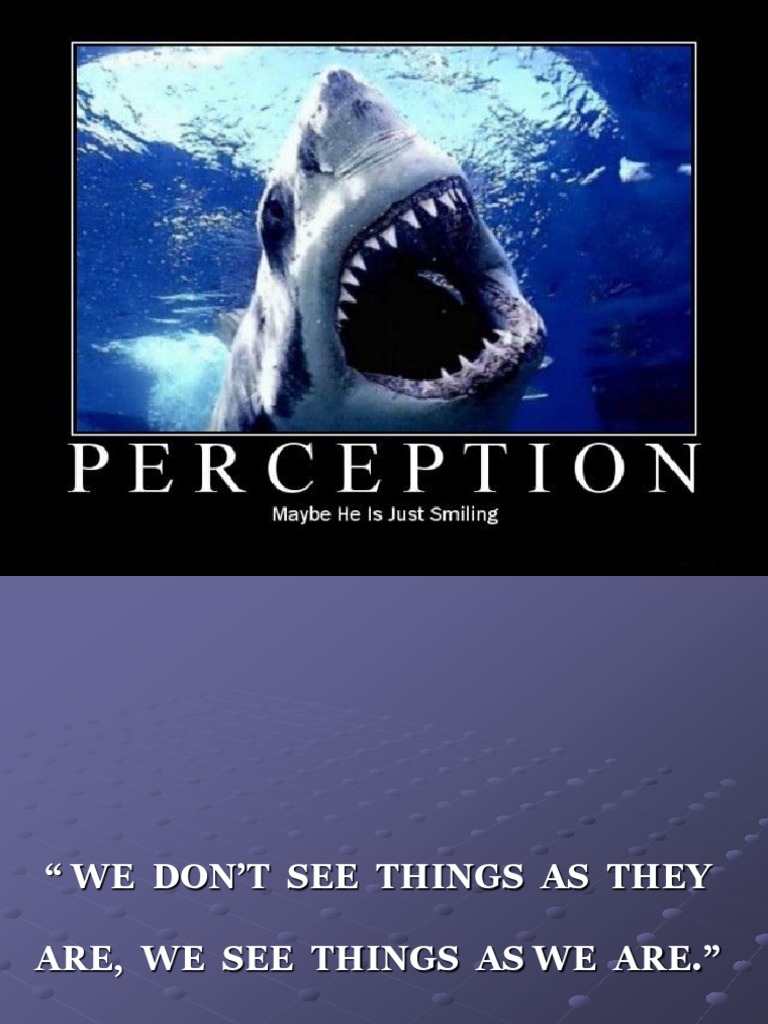 1 Organizational Behavior / Perception | PDF | Perception | Metaphysics ...