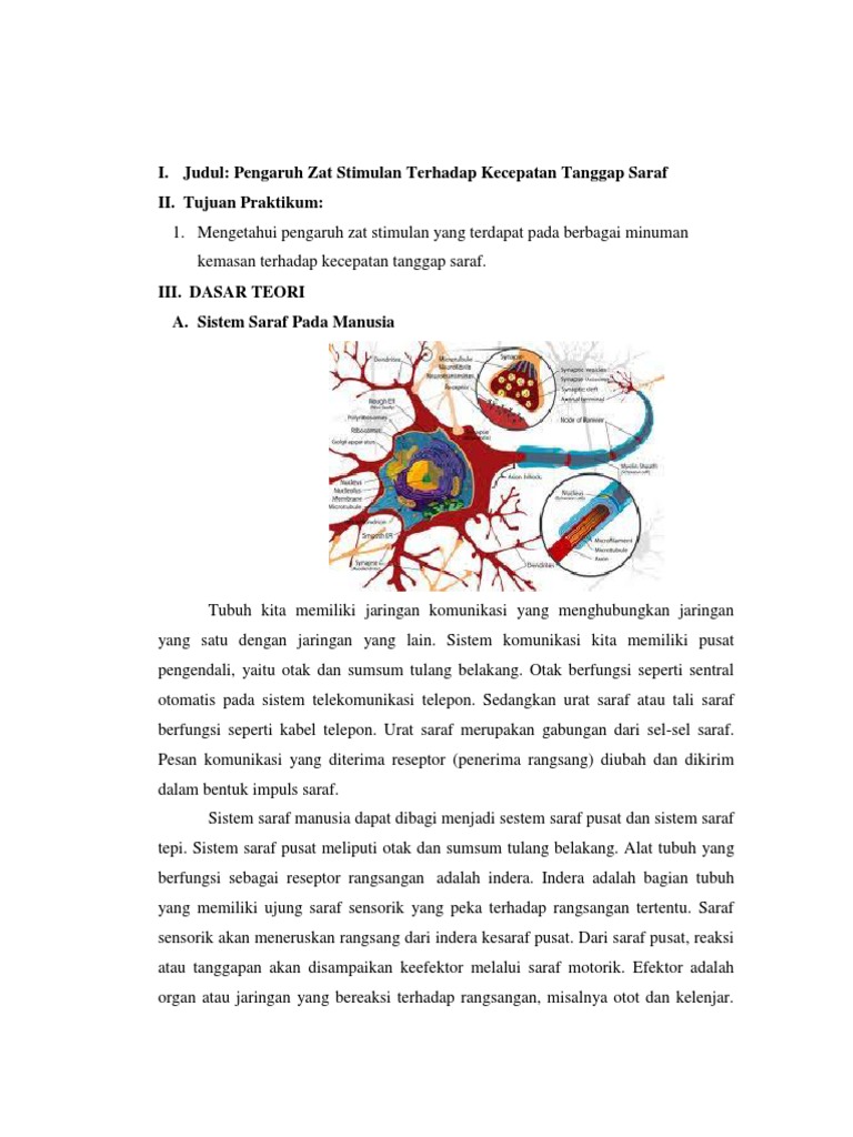 Pengaruh Gas Stimulan pada Saraf | PDF