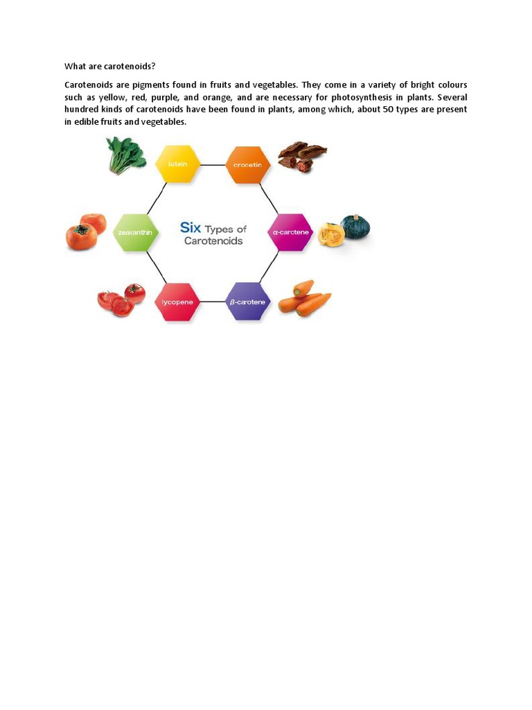 What Are Carotenoids | PDF | Carotenoid | Photosynthesis