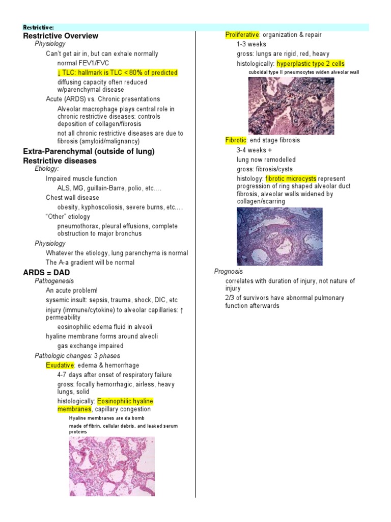 Respiratory Path Pathophysiology | PDF | Chronic Obstructive Pulmonary ...