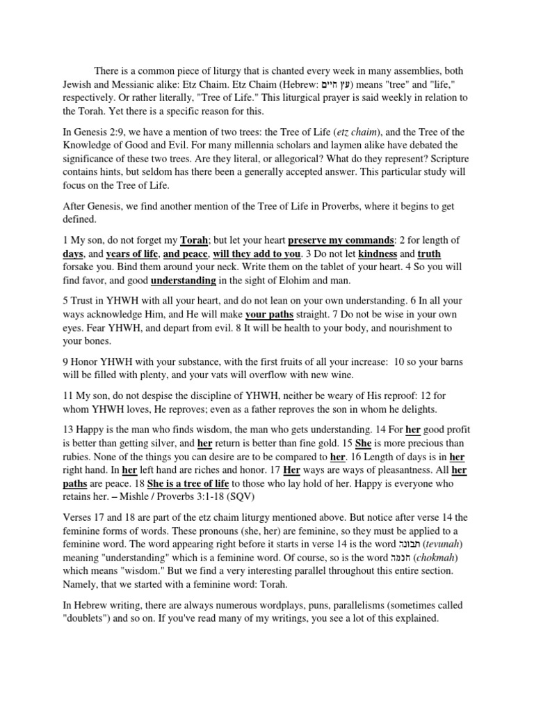 Tree of Life | PDF | Book Of Proverbs | Torah