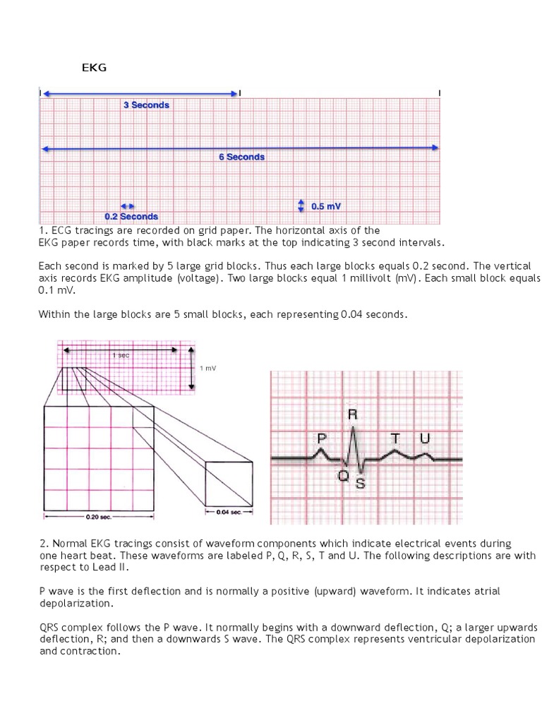 EKG | PDF