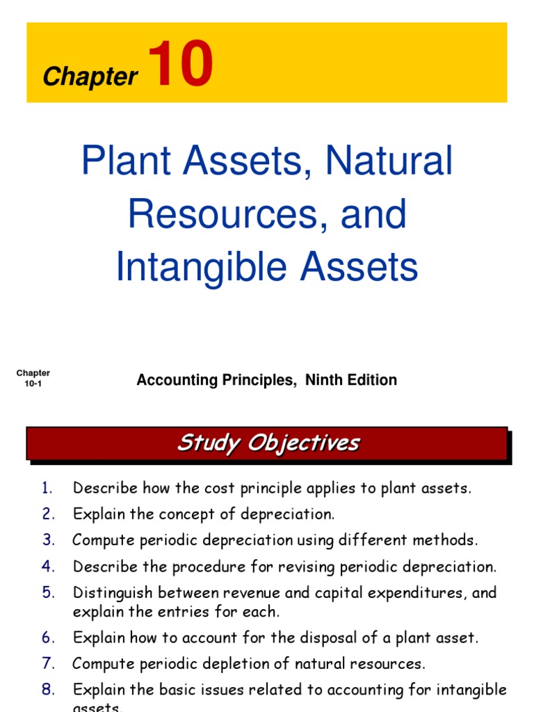 ch10 Plant Assets, Natural Resources, and Intangible Assets | PDF ...
