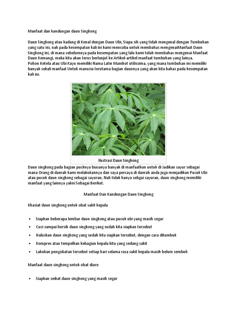 Manfaat Dan Kandungan Daun Singkong | PDF