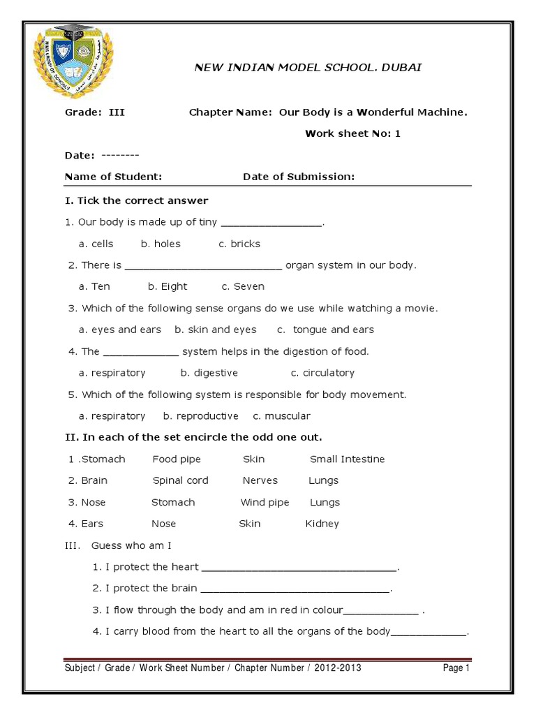 Grade 3 | PDF | Human Body | Animal Physiology