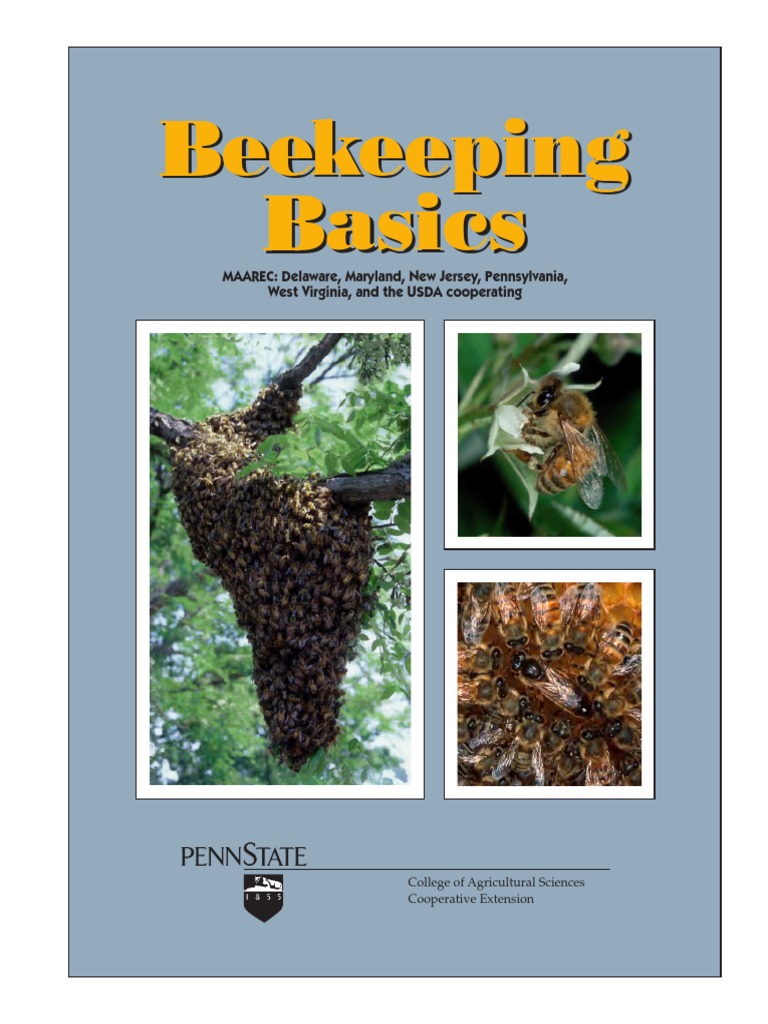 Beekeeping Basics | PDF | Wellness