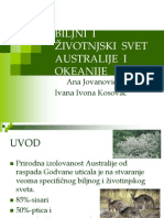 Ptice, Prezentacija | PDF