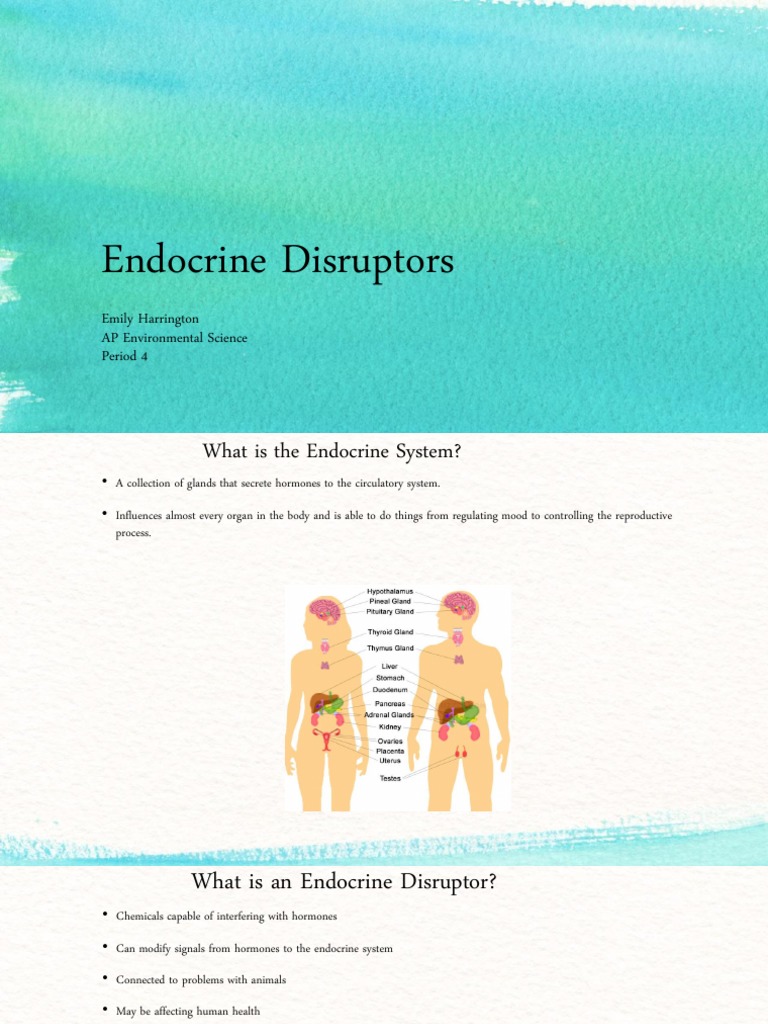 Understanding Endocrine Disruptors | PDF | Chemicals | Foods