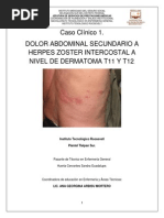 Ángulo de Louis | PDF | Tórax | Anatomía humana