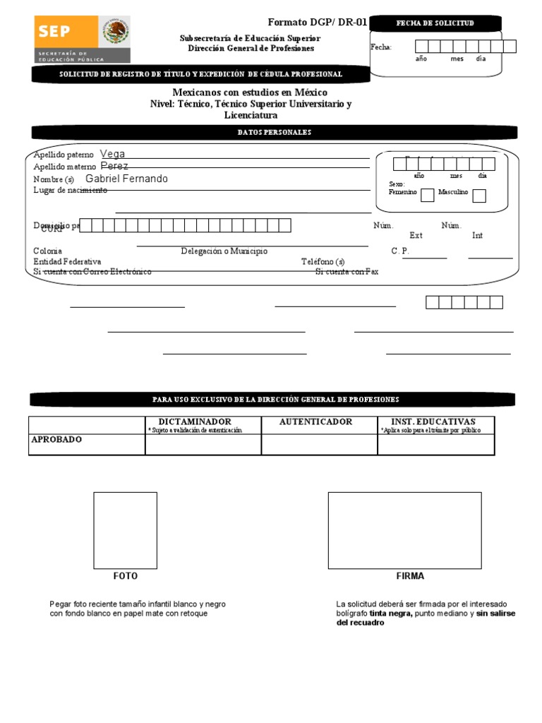 Formato DGP/ DR-01 | PDF