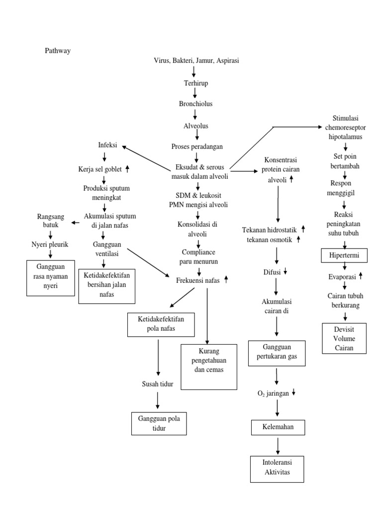 Pathway pneumonia