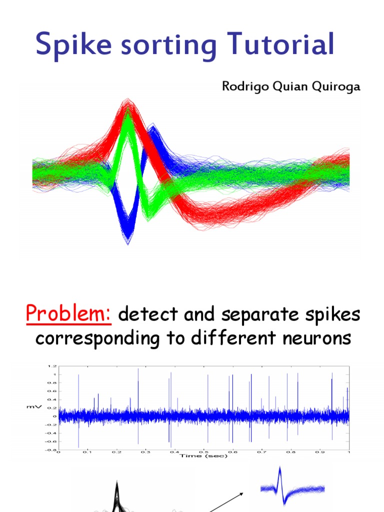 Spike Sorting Tutorial | PDF | Principal Component Analysis | Cluster Analysis