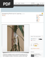 Marcotting: Propagation Guide for Plants | PDF | Horticulture | Botany