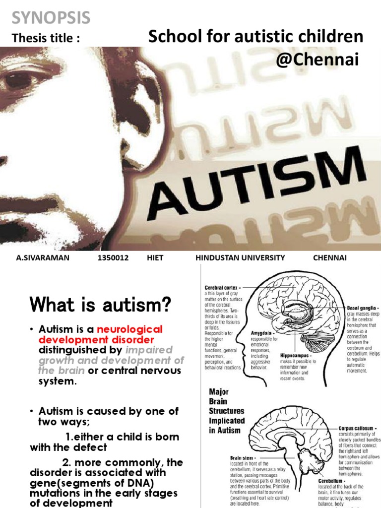 Autism | PDF | Autism | Pervasive Developmental Disorders
