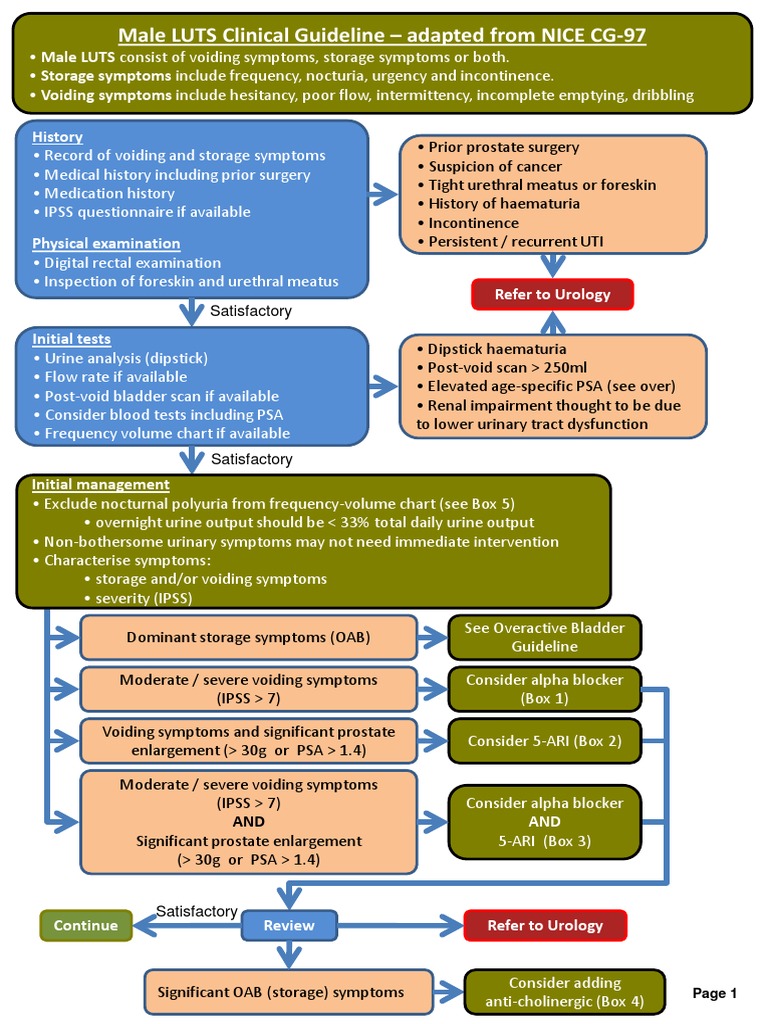 Male Luts Clinical Guideline | PDF | Urinary Tract Infection ...