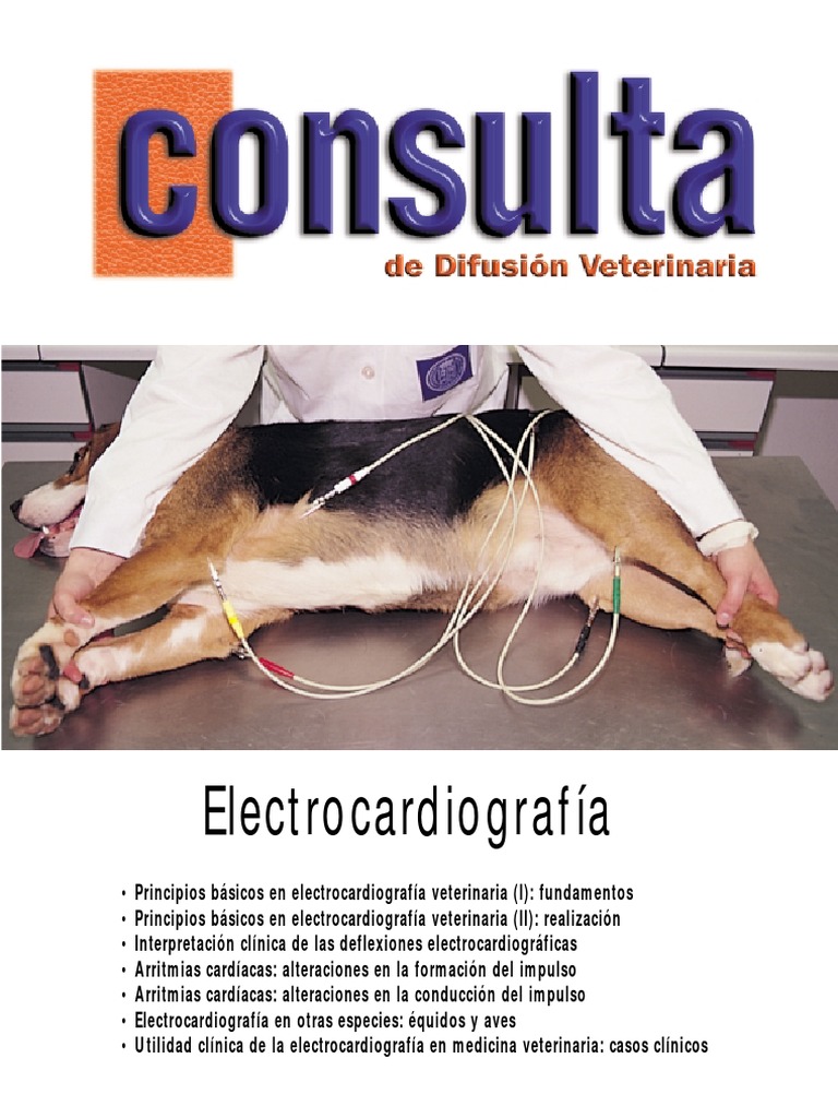 ELECTROCARDIOGRAMA EN PEQUEÑOS ANIMALES | Electrocardiografia ...
