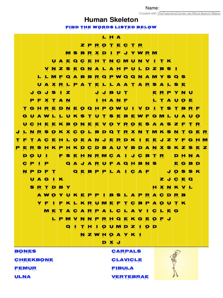 Wordsearch Human Skeleton | PDF | Self-Improvement