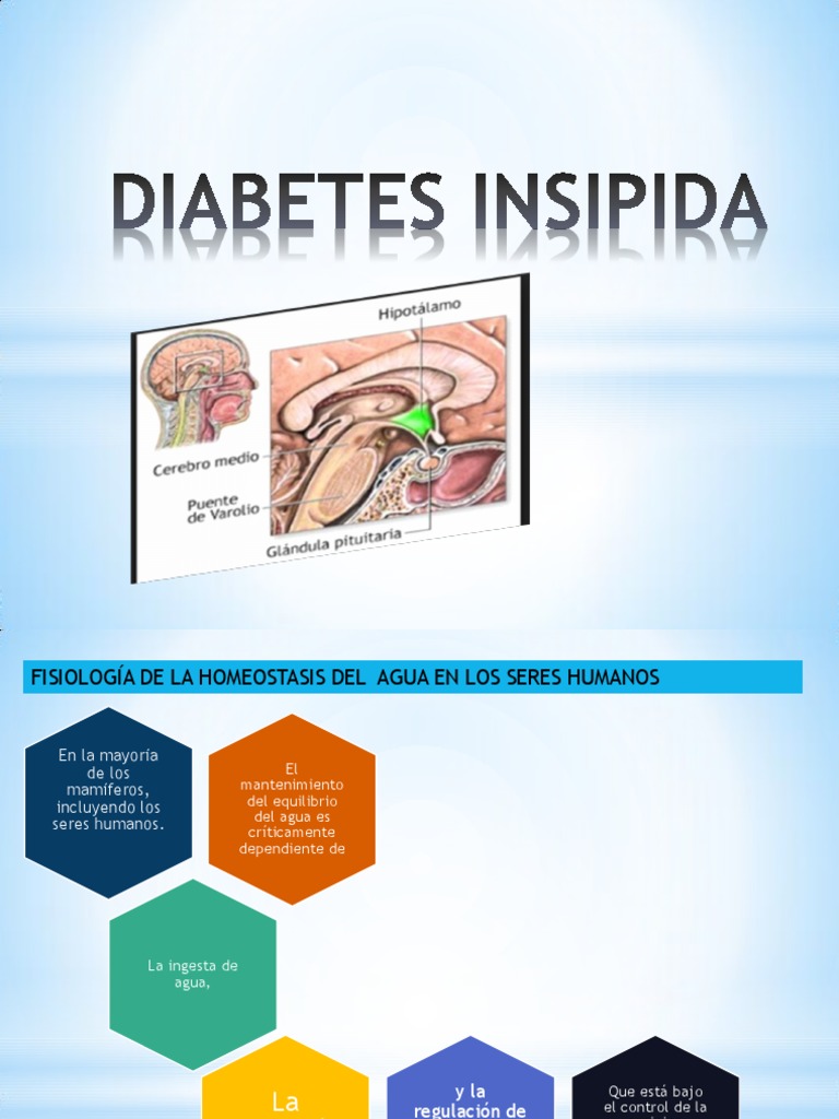 Diabetes Insipida | PDF | Riñón | Especialidades Medicas