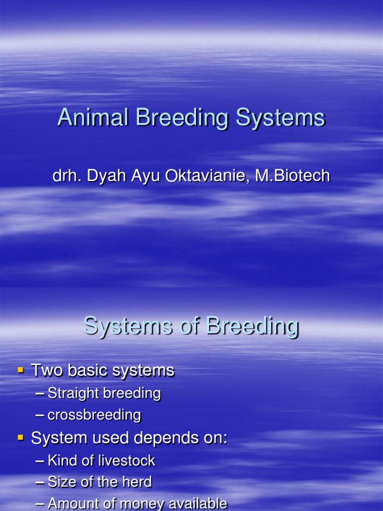 Animal Breeding Systems Overview | PDF | Selective Breeding | Inbreeding