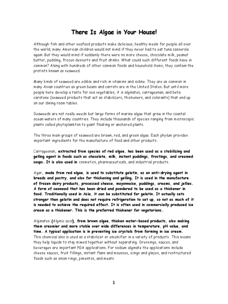 Algae Worksheet | PDF | Seaweed | Algae