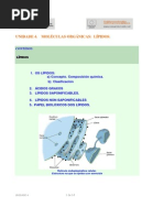 Tema 4 Tinciones PCT | PDF