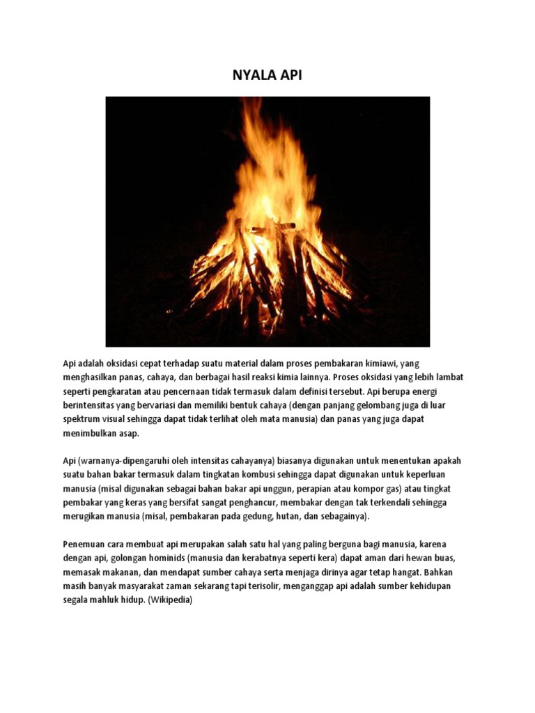 Nyala Api | PDF | Seni | Kesehatan Holistik