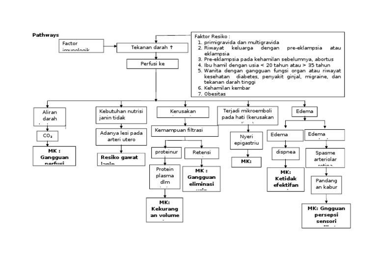 WOC Pre Eklampsi Berat | PDF | Kesehatan Holistik