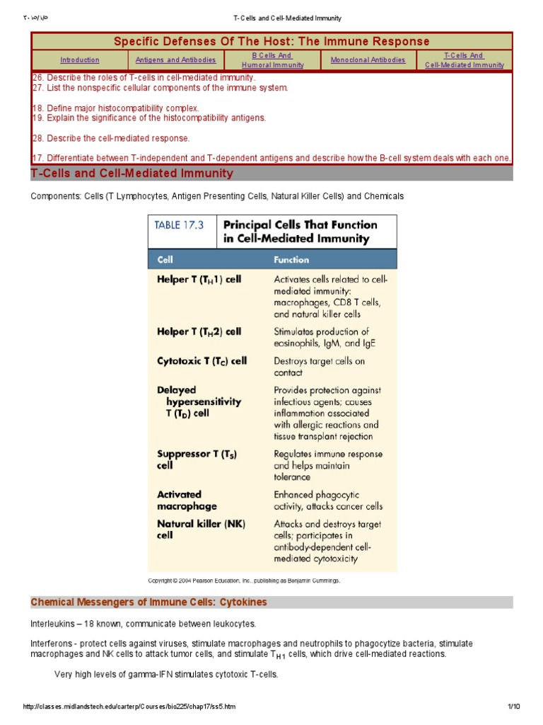 T-Cells and Cell-Mediated Immunity | PDF | Immune System | T Cell