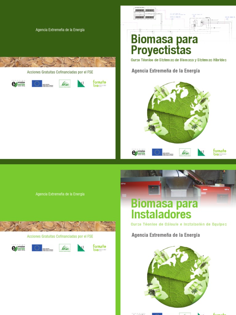 Guia Muy Buena Caldera Biomasa | PDF | Horno | Hogar