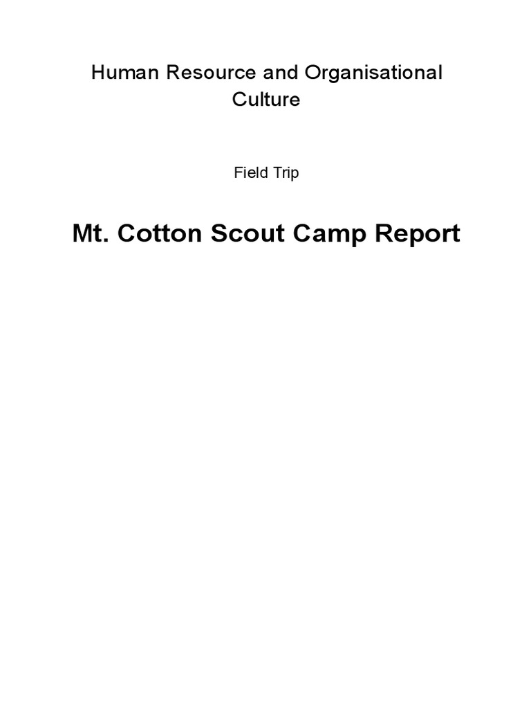 Mt. Cotton Scout Camp Report: Human Resource and Organisational Culture ...