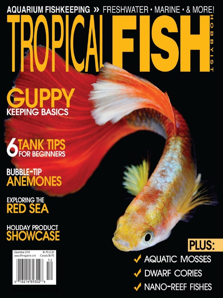 Tropical Fish Hobbyist December 2014 | PDF