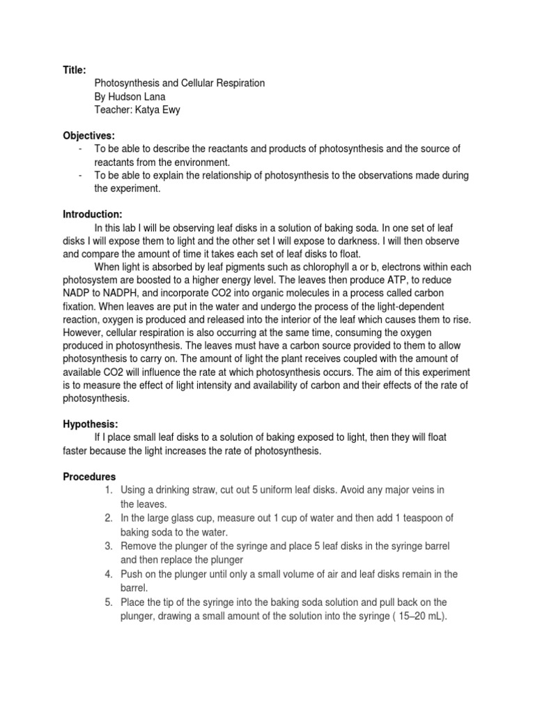 Leaf Disk Lab | PDF | Syringe | Photosynthesis
