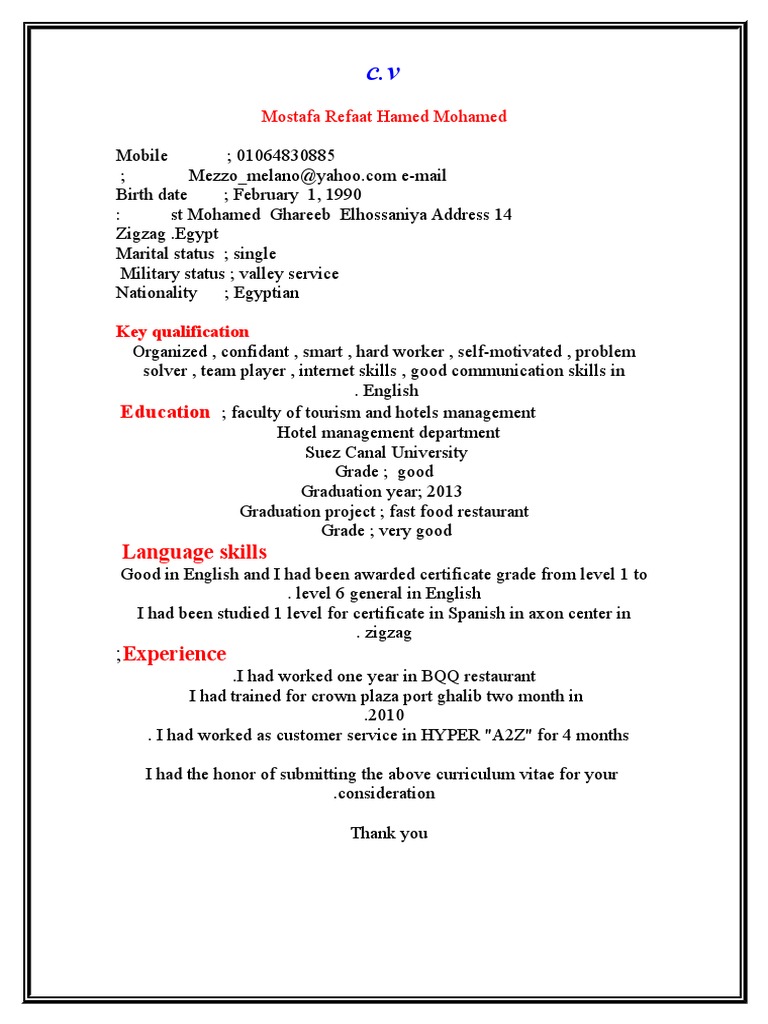 Mostafa Refaat's CV Overview | PDF