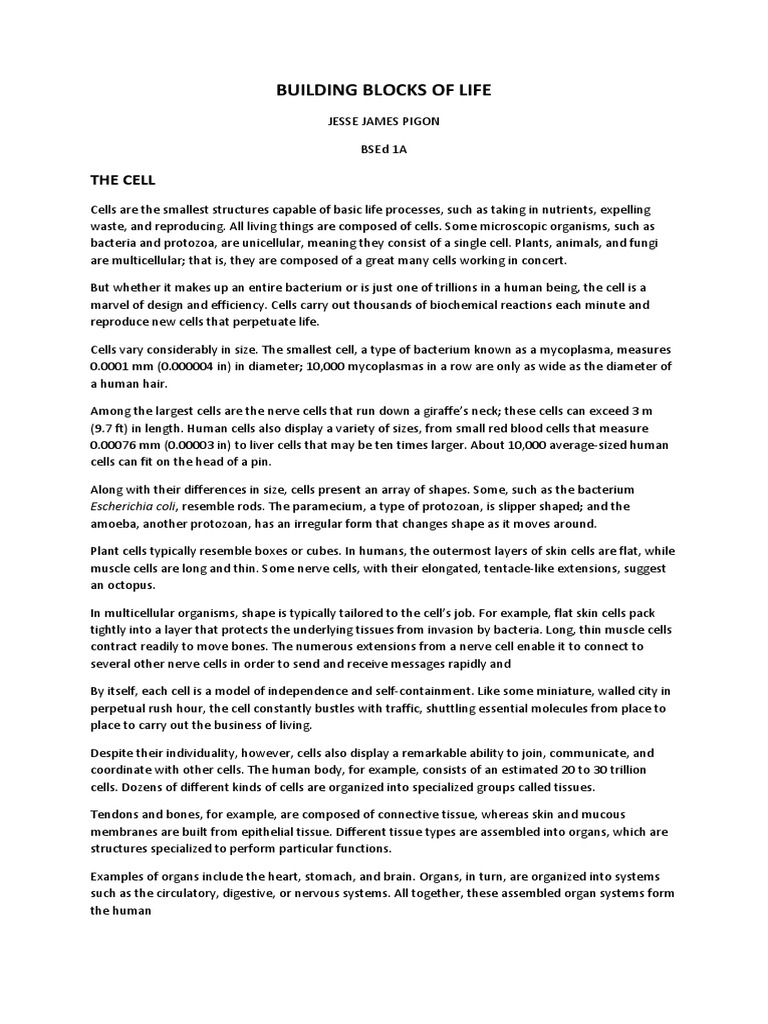 Building Blocks of Life | PDF | Cell (Biology) | Eukaryotes