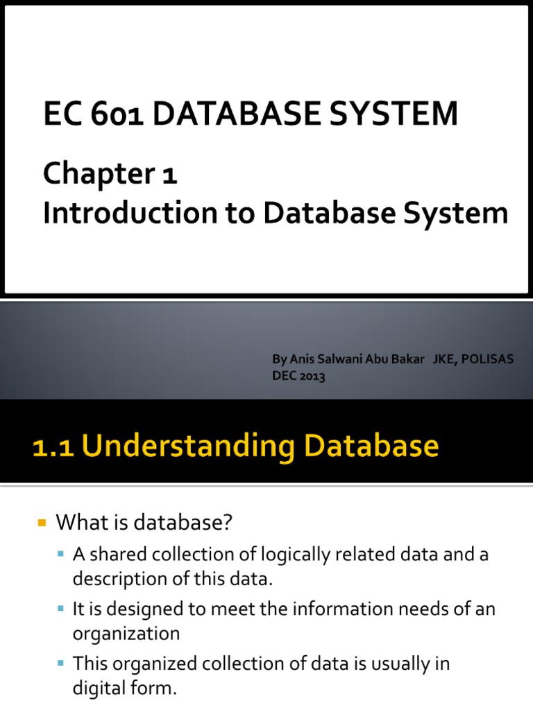 Chapter 1 EC601 | PDF | Data Model | Databases