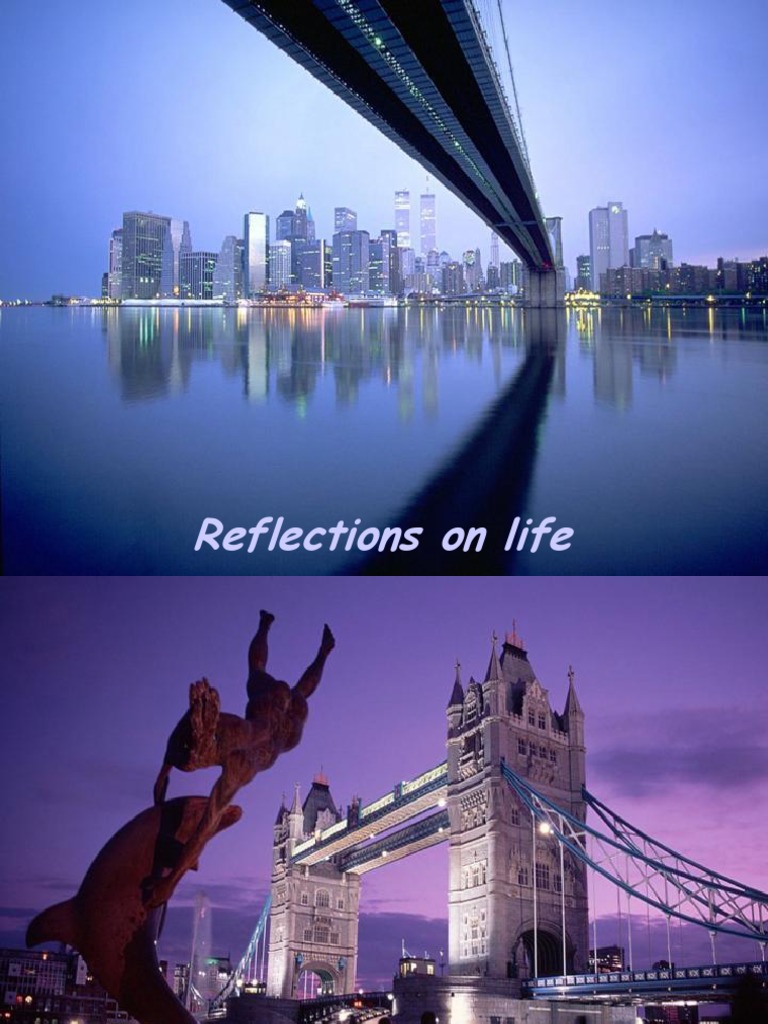 Diary 2 Reflection of Life | PDF