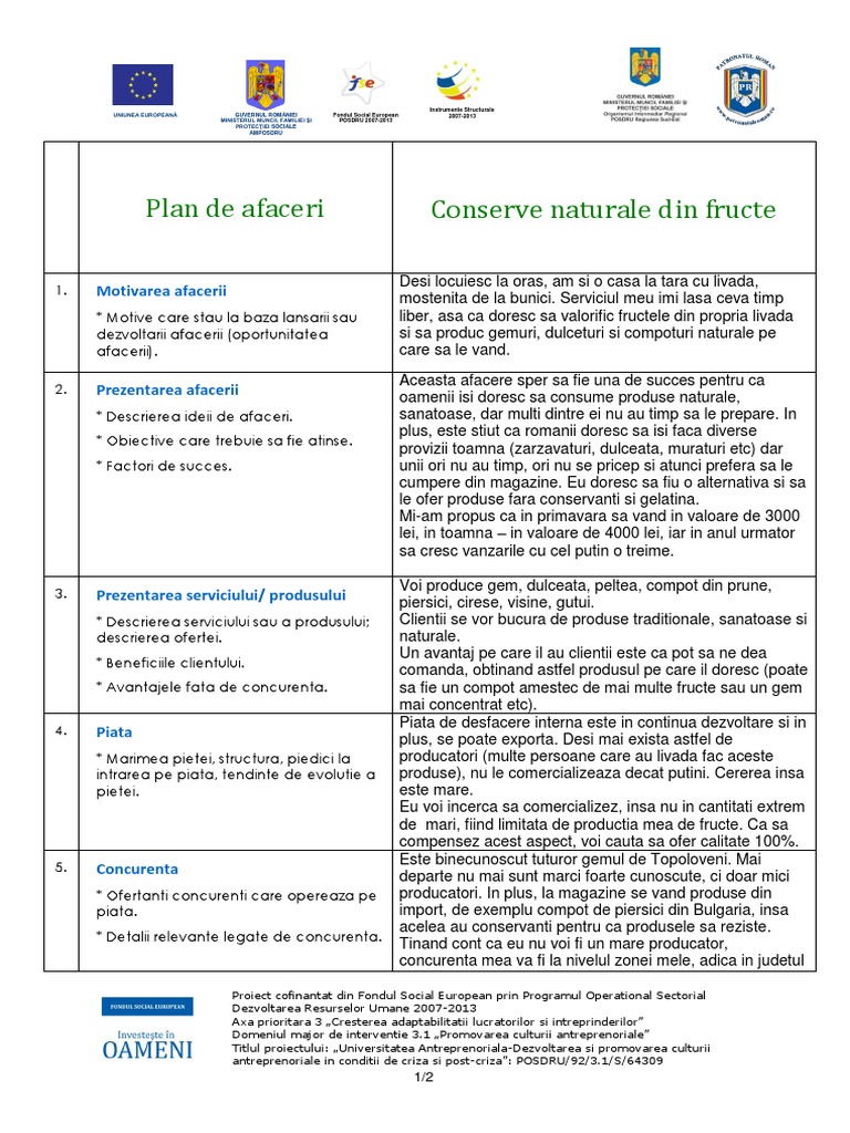Plan de Afaceri Conserve Naturale Din Fructe | PDF