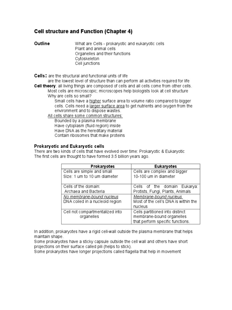 Chapter 4 A Tour of The Cell | PDF | Endoplasmic Reticulum | Cell (Biology)