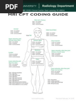 X-Ray CPT | PDF | Pelvis | Foot