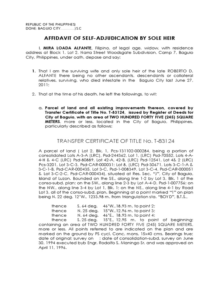 Affidavit of Self-Adjudication by Sole Heir | PDF | Notary Public ...
