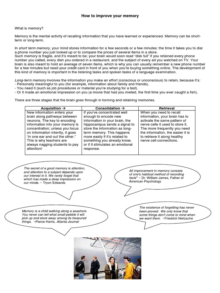 How To Improve Your Memory | PDF | Omega 3 Fatty Acid | Memory