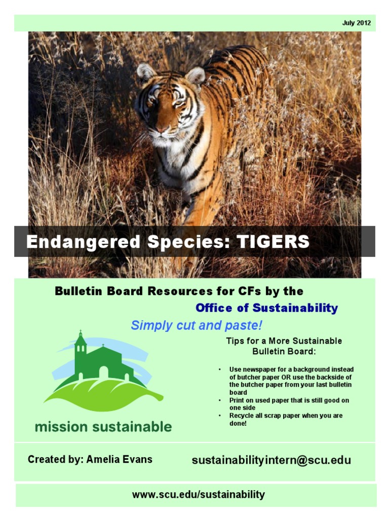Endangered Species Tigers | PDF | Tiger | Species
