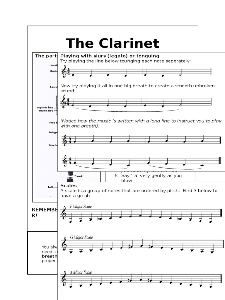Clarinet Basics: Posture, Sound, Care | PDF
