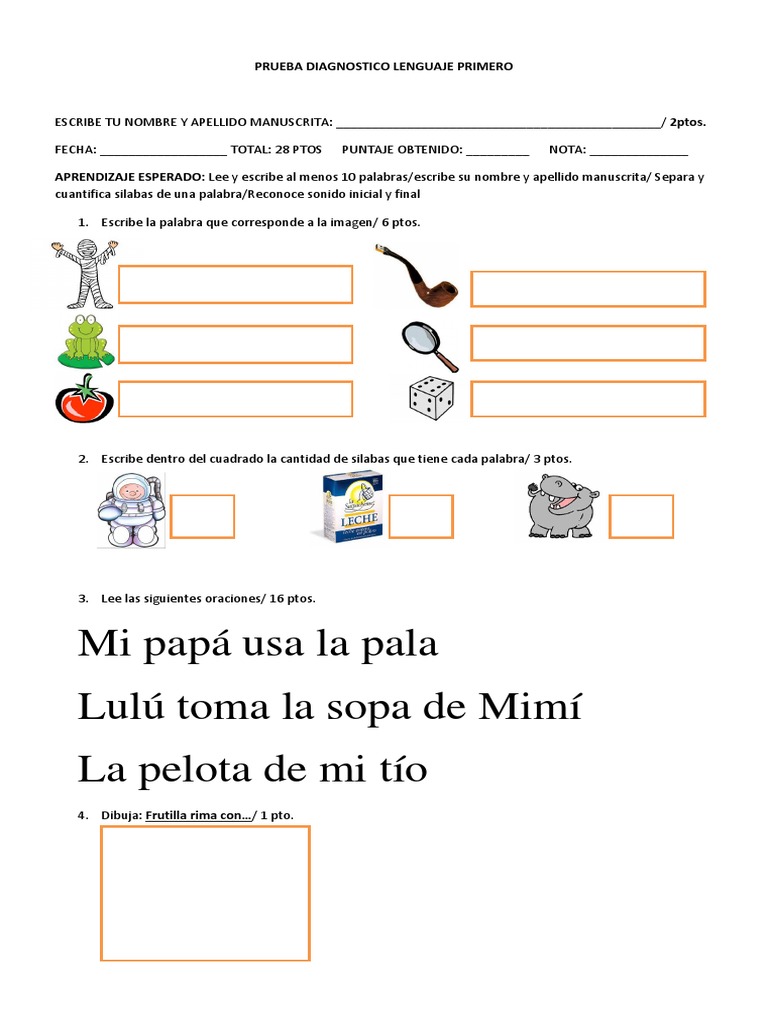 Prueba Diagnóstico Lenguaje Primero | PDF | Estudios de idiomas ...