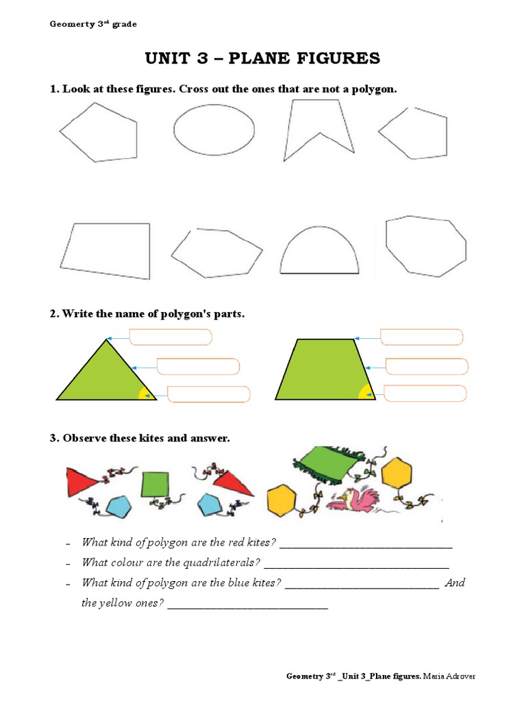 3rd Geometry Unit 3 Plane Figures Exercises | PDF | Home & Garden