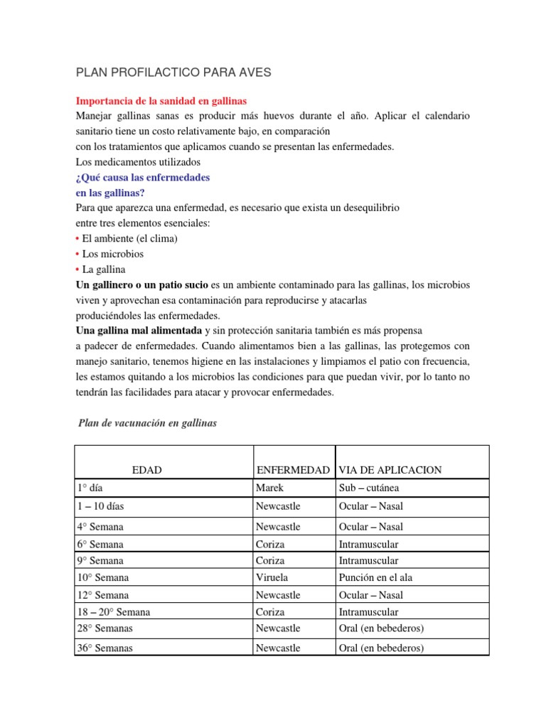 Plan Profilactico para Aves, Bovinos, Cerdos | PDF | Vacunas | Vacas