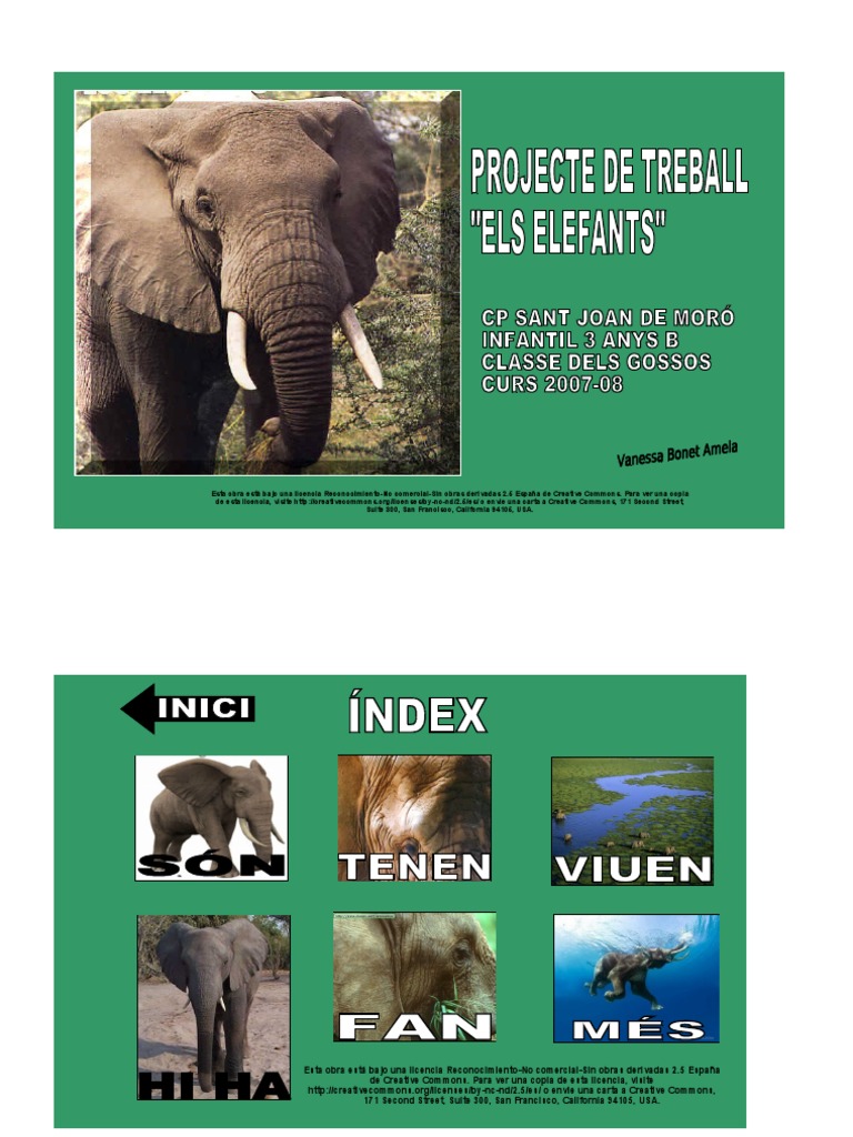 PDT ELS ELEFANTS | PDF