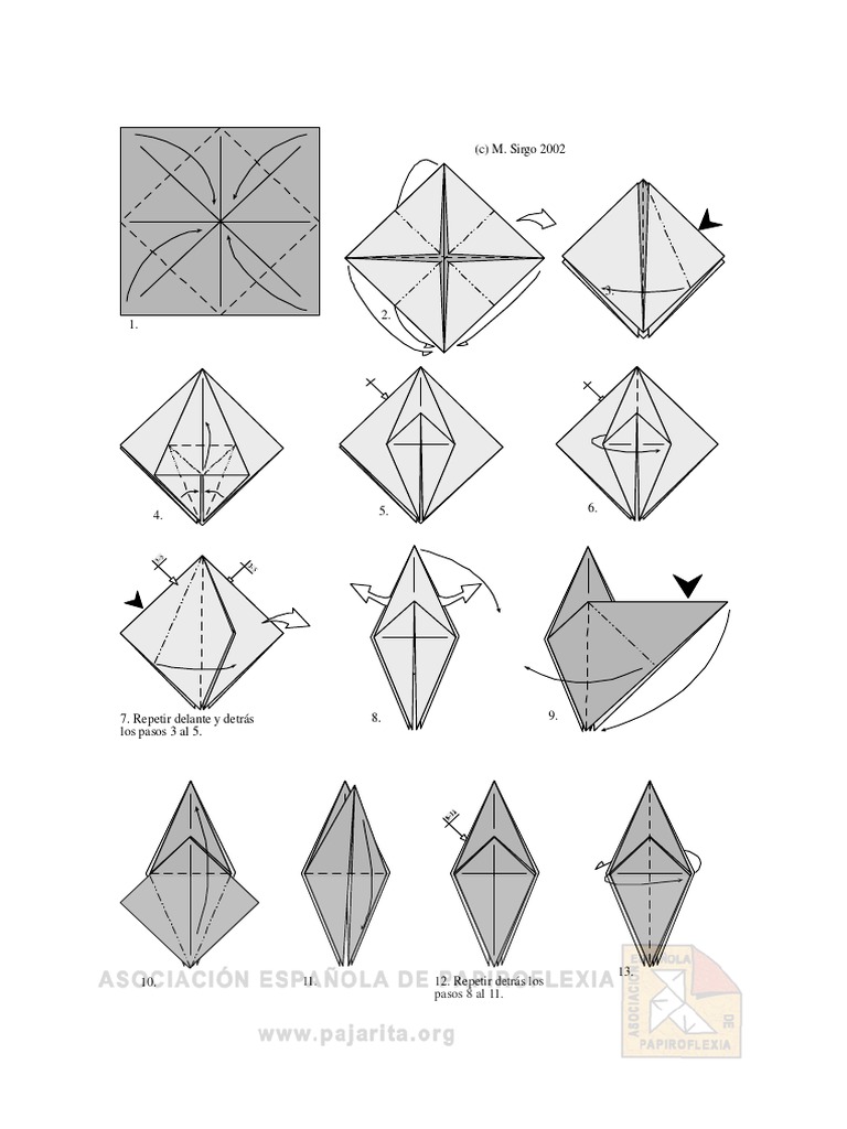 Origami Medusa Diagrama | PDF